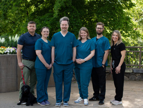 Veterinary Ophthalmologists In Greenville, SC | Carolina Animal Eye